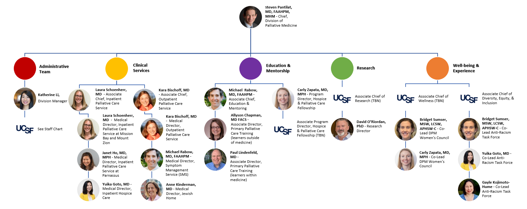 Organizational Chart - Leadership | Palliative Medicine